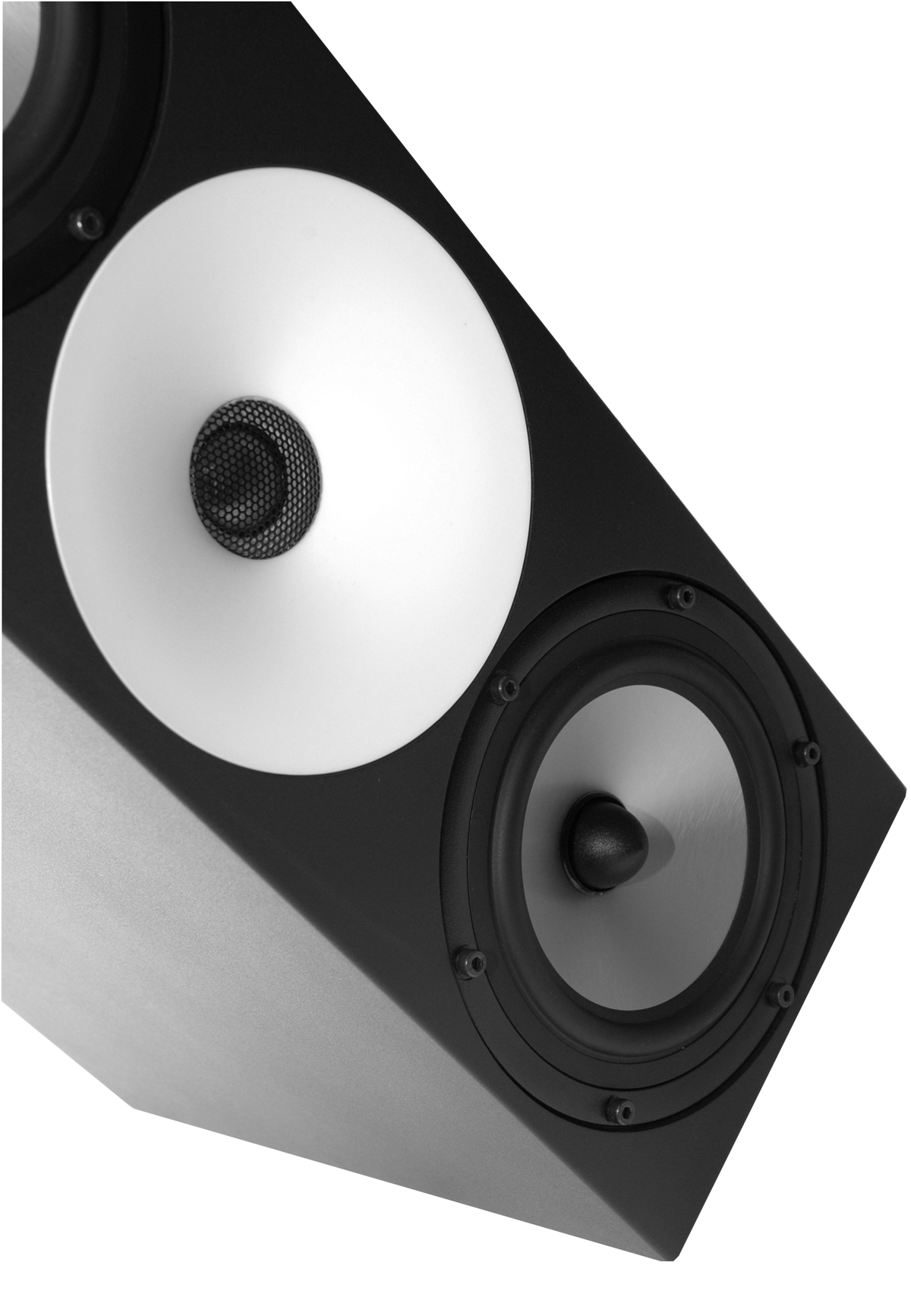 Amphion Two 15 - What HI-FI? Thailand